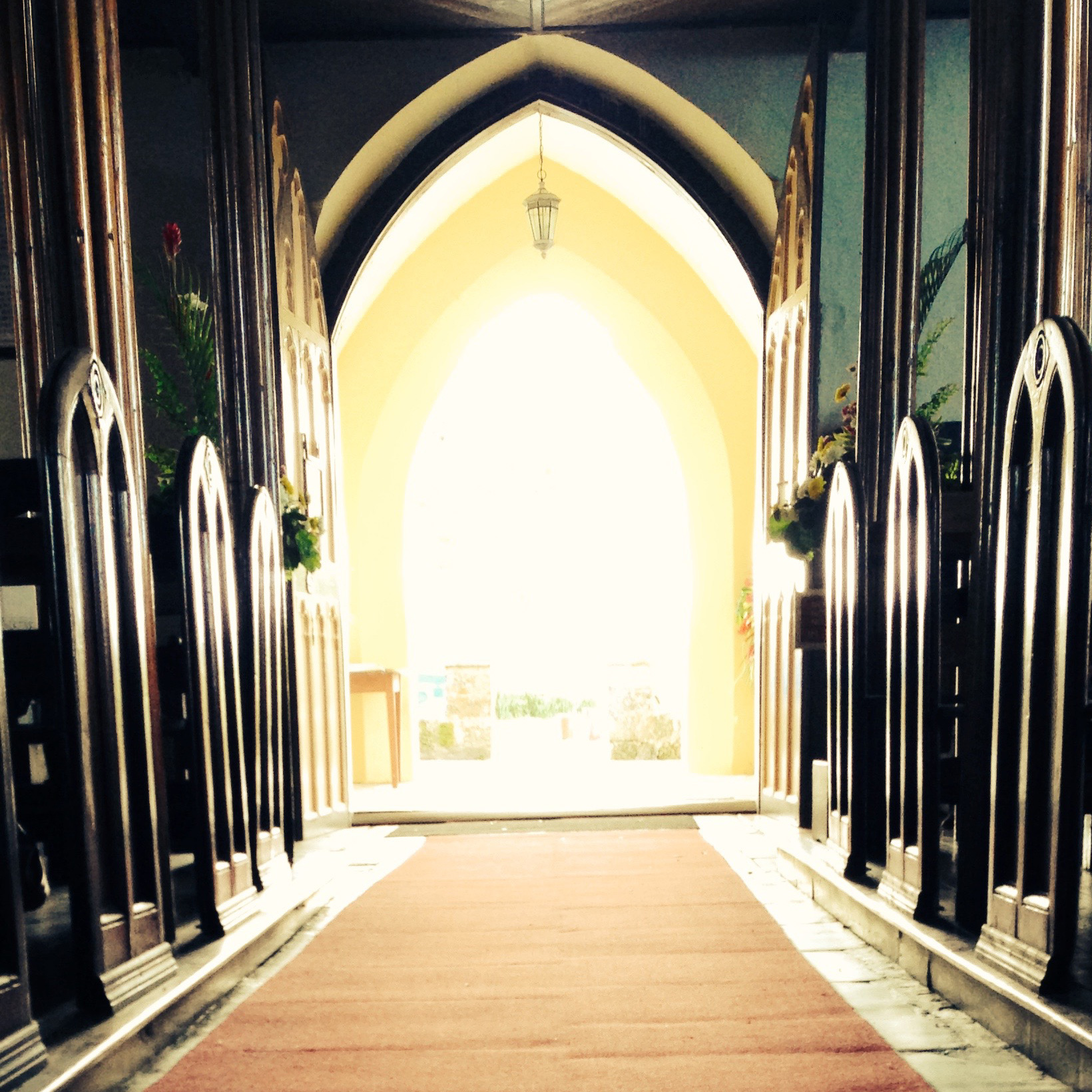 Ronnie Wright | Brand Development and Website Design